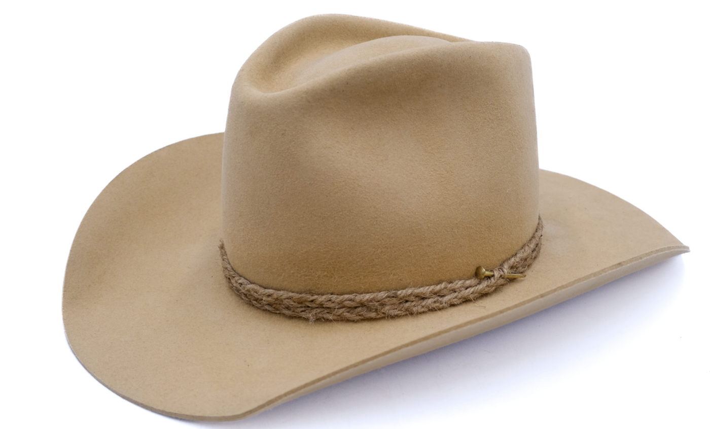 Shop - Page 2 of 3 - Wild Hats